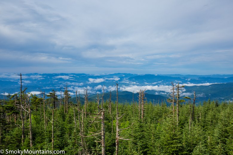 10 Facts We Bet You Didn't Know About the Great Smoky Mountains
