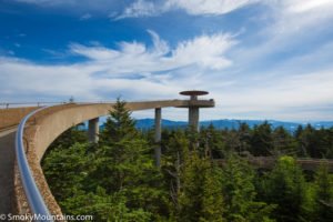 9 Essentials in the Great Smoky Mountains National Park