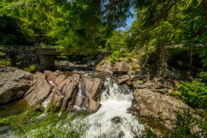 Best Scenic Drives in the Great Smoky Mountains, TN