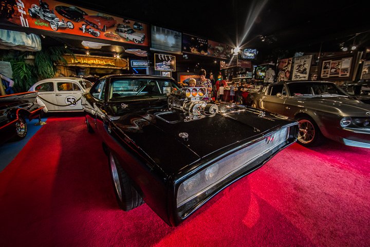 Educational Activities to Enjoy With the Kids in the Smokies