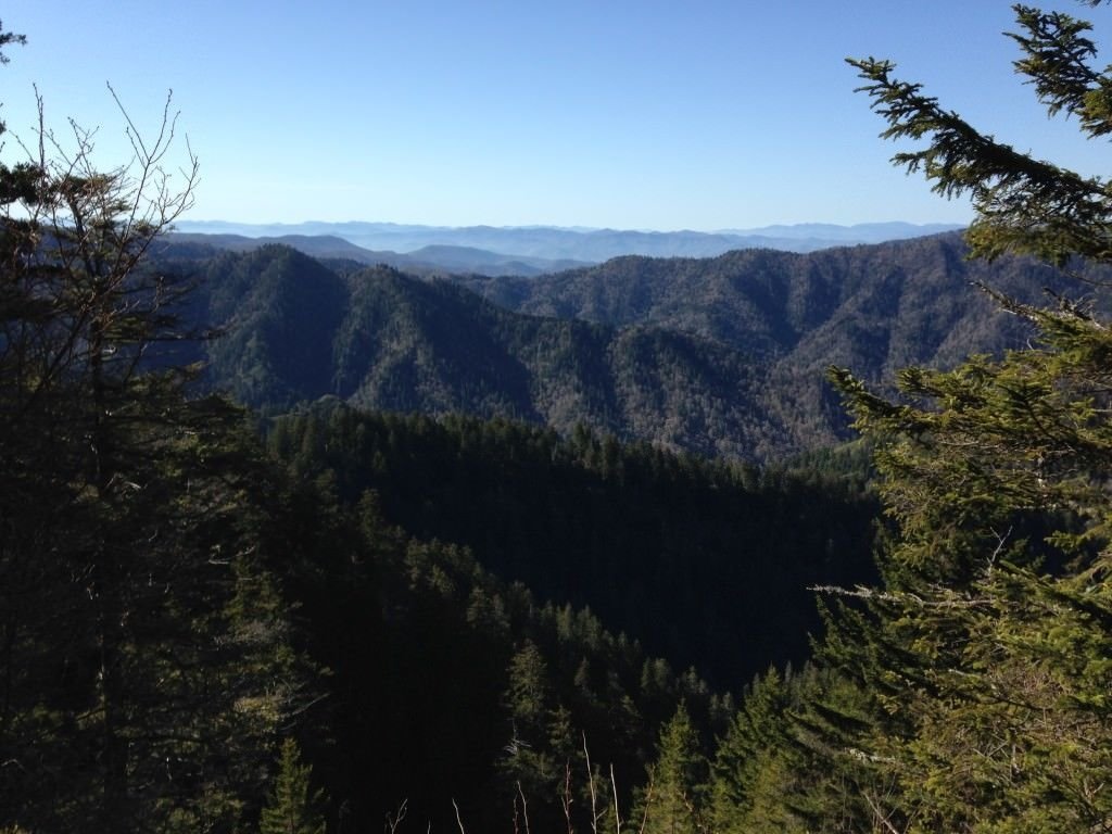 Alum Cave Trail Review & Guide with Insider Tips