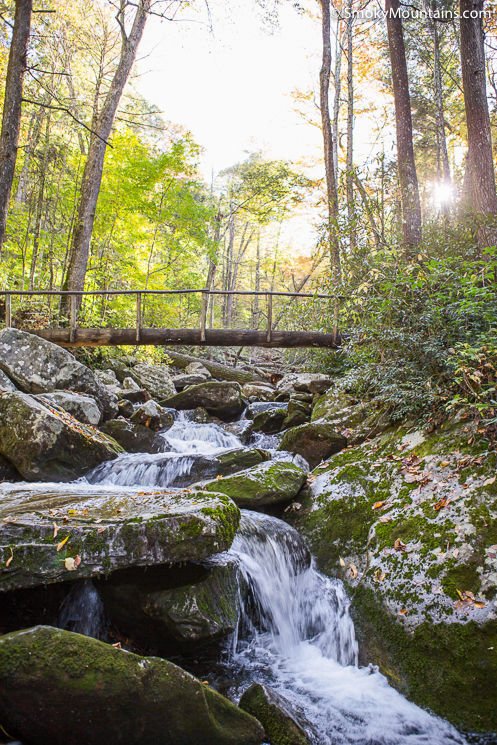 Hiking Mount Leconte Rainbow Falls