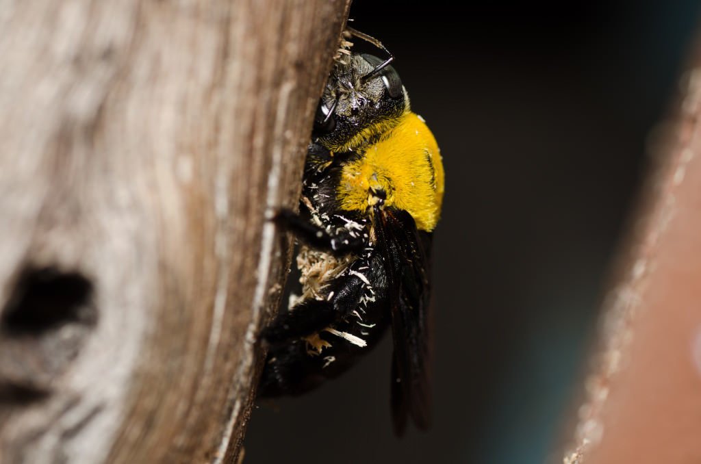 7 Reasons to Avoid The Smoky Mountains - Don't Vacation Here!