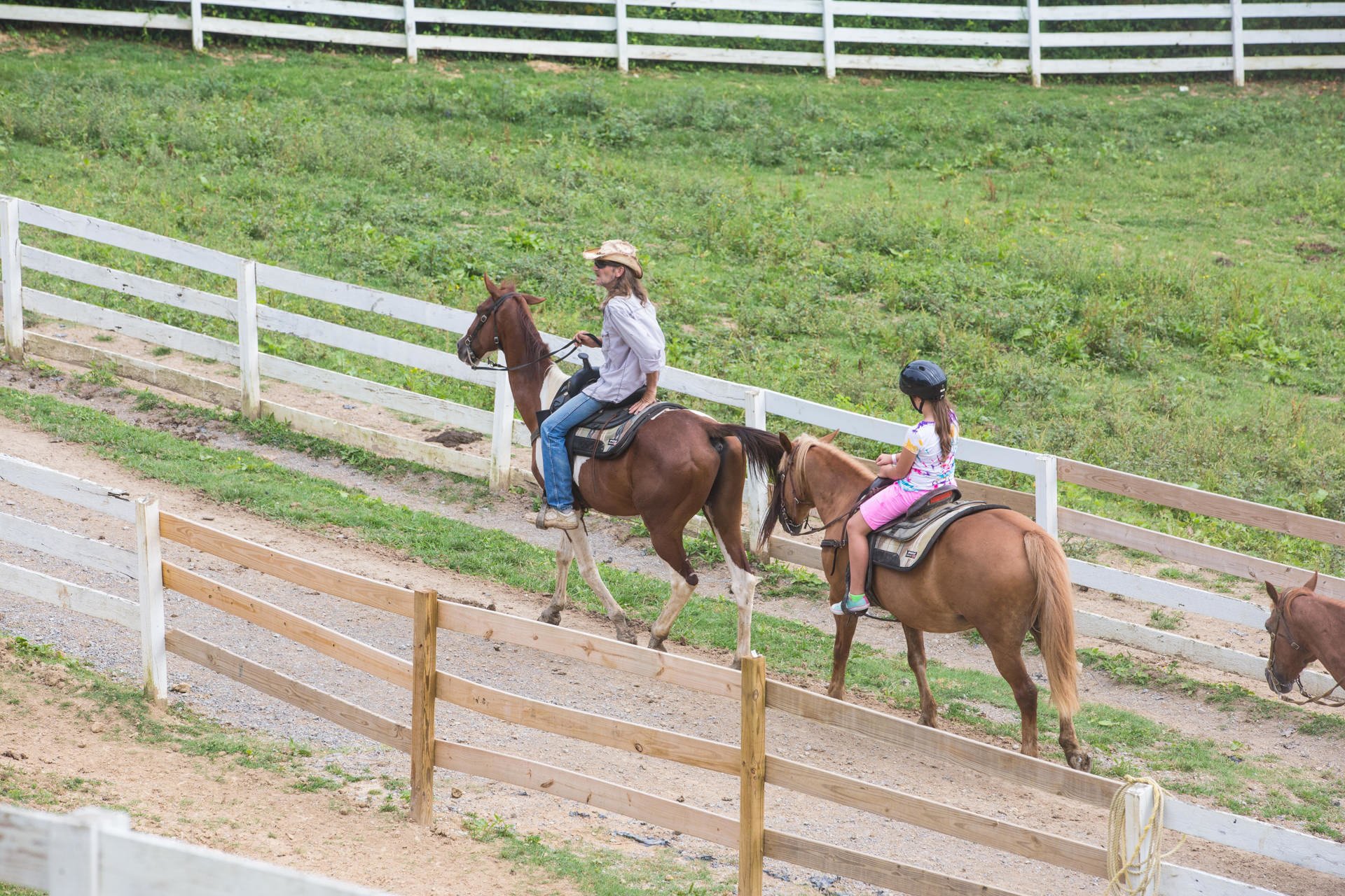 Five Oaks Riding Stables - Sevierville, TN |Review, Photos, More!