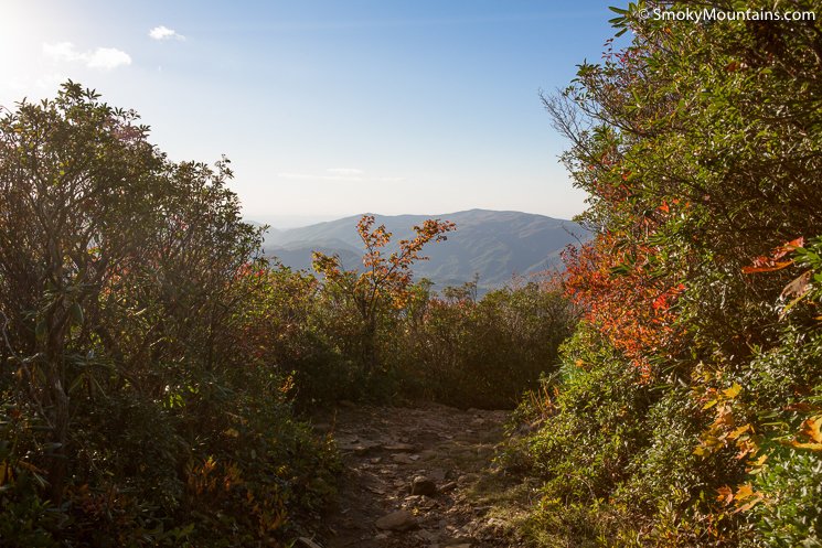 Driving through the Great Smoky Mountains National Park: What to Know