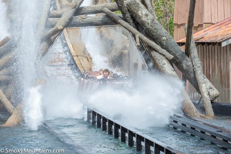 Top 10 Rides at Dollywood You Have to Experience