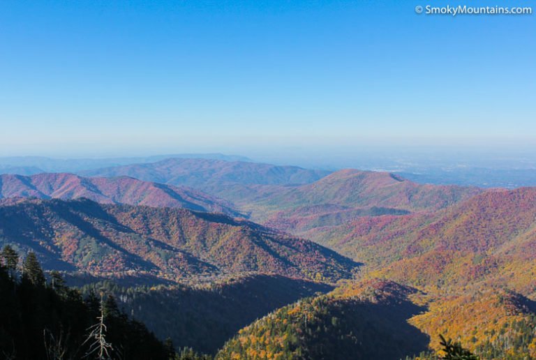 19 Spectacular Shots Of The Smoky Mountains - SmokyMountains.com