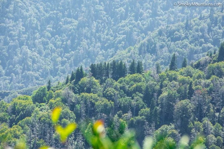 19 Spectacular Shots Of The Smoky Mountains - SmokyMountains.com