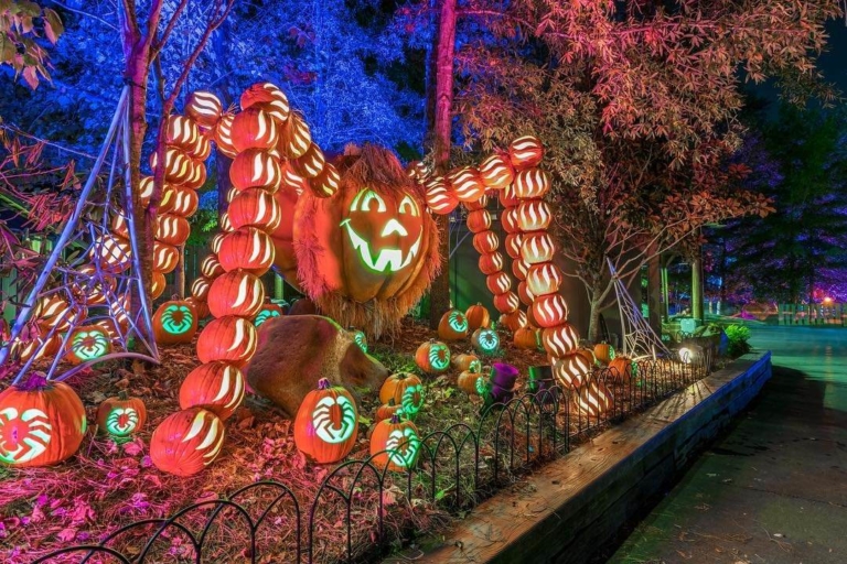 The Ultimate Guide to Enjoying Dollywood in October