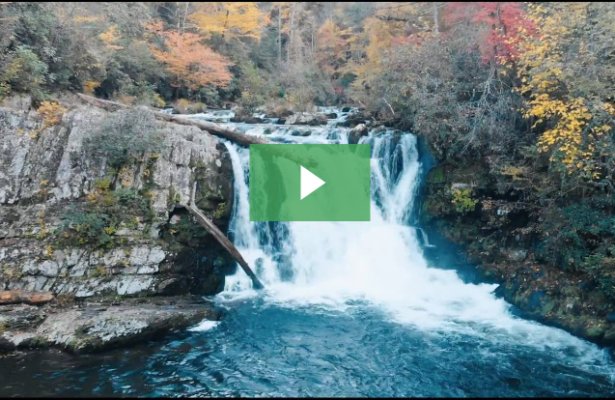Abraham Falls Smoky Mountains