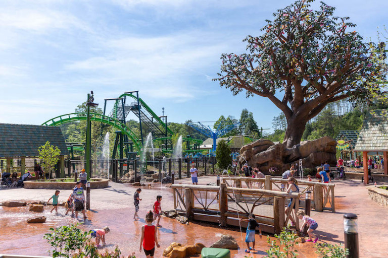 9 Reasons You Simply Must Visit Wildwood Grove