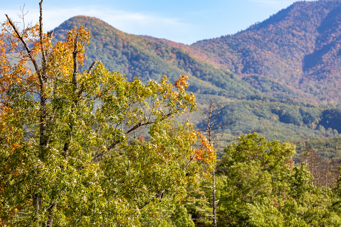 Visiting The Smoky Mountains During Fall? 5 Visitor Faves.