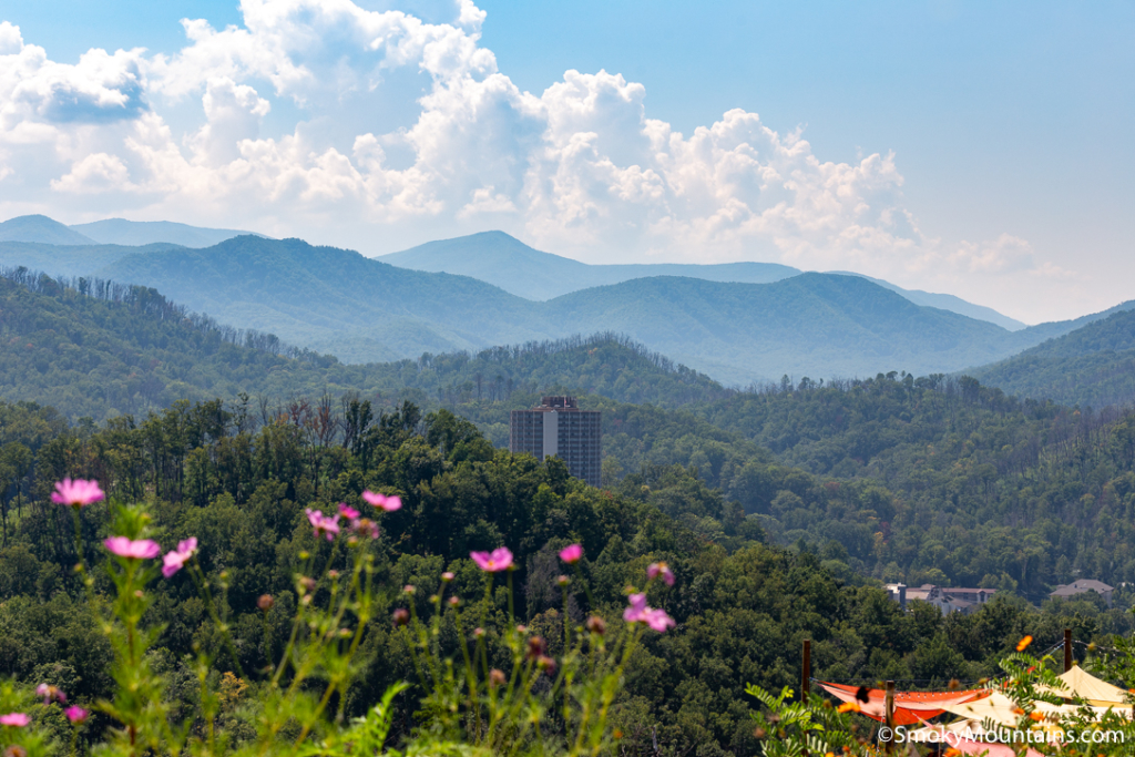 19 Spectacular Shots Of The Smoky Mountains - SmokyMountains.com