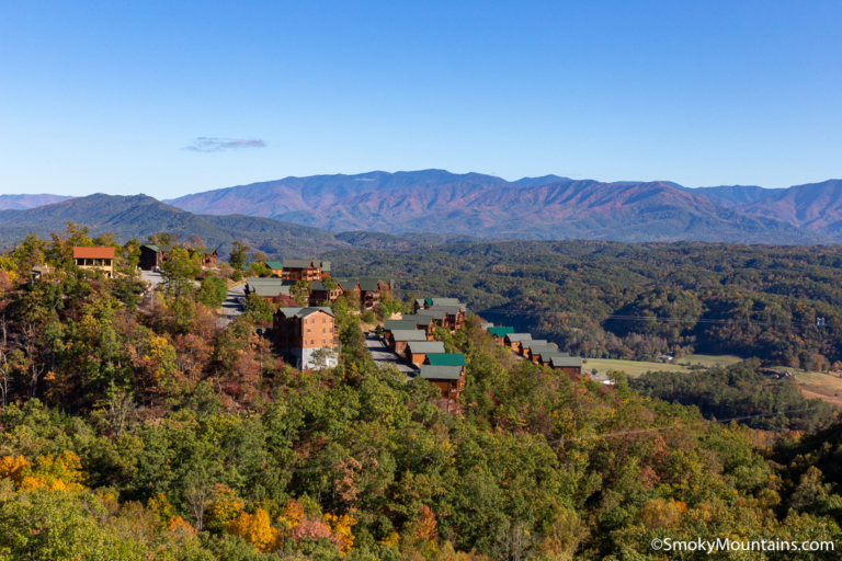 10 Reasons You Need to Experience Legacy Mountain Ziplines