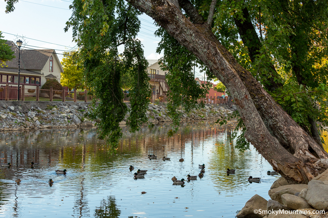 The 8 Most Iconic Spots and Landmarks in Pigeon Forge, TN