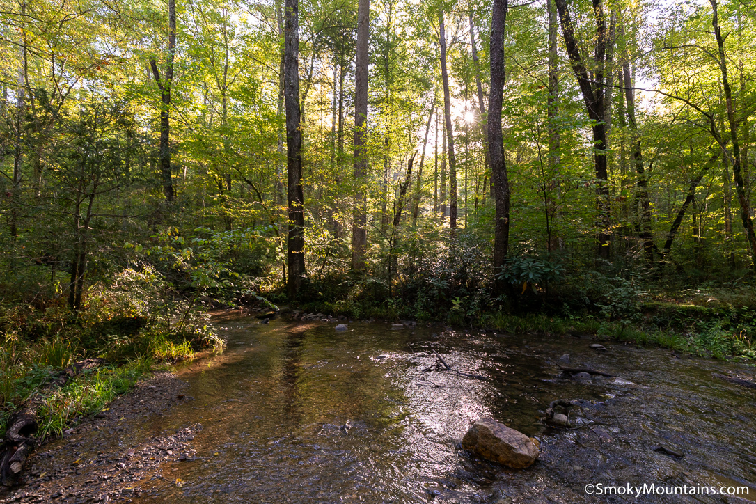 Swimming in the Smokies: Smoky Mountain Swimming Holes