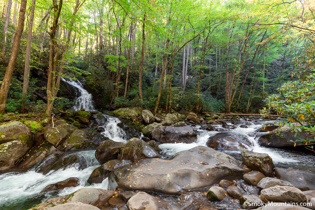 Mouse Creek Falls Smoky Mountains Mouse Creek Falls Hike Review W/