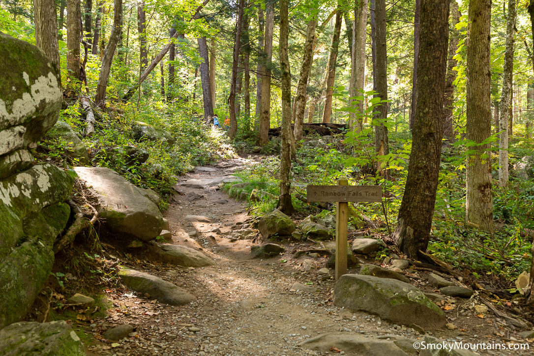 6 Reasons to Hike the Rainbow Falls Trail in Great Smoky Mtns