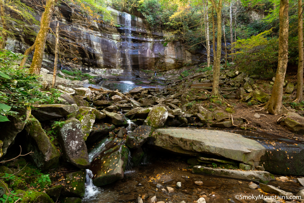 6 Reasons to Hike the Rainbow Falls Trail in Great Smoky Mtns