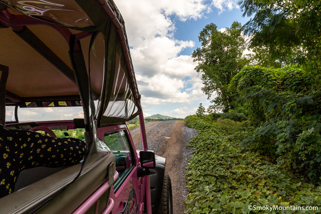 Ultimate Guide to the Top 6 Tours in Pigeon Forge, Tennessee