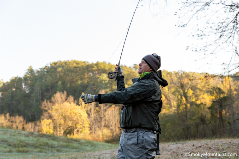 Ultimate Guide to Fishing in the Great Smoky Mountains National Park