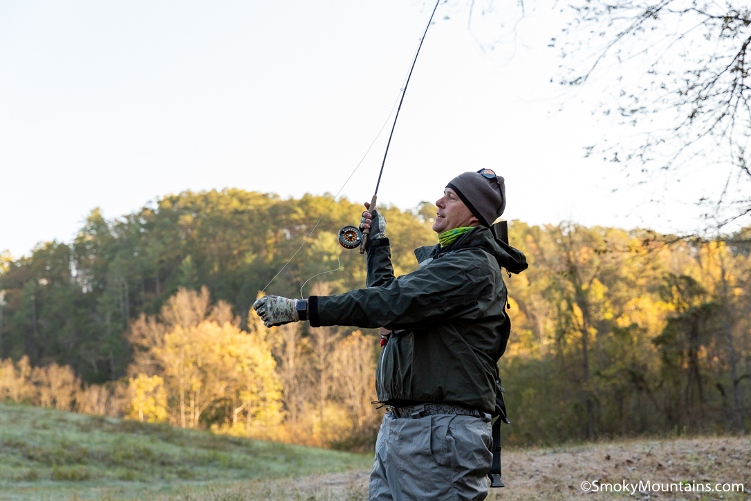 Ultimate Guide to Fishing in the Great Smoky Mountains National Park