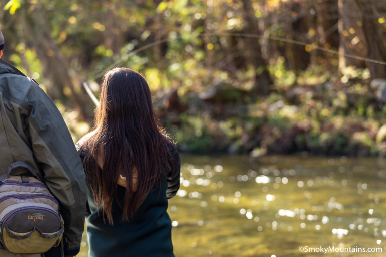 Ultimate Guide to Fishing in the Great Smoky Mountains National Park