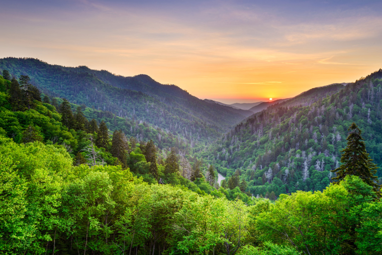 6 Desktop Backgrounds of the Smoky Mountains National Park