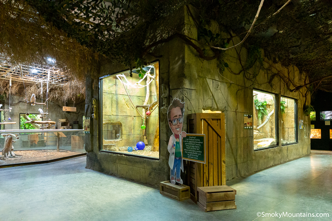 Rainforest Adventures Discovery Zoo