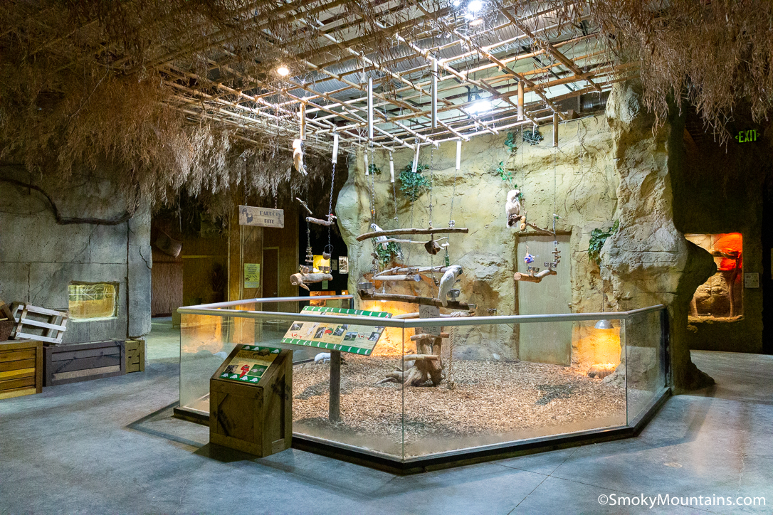 Rainforest Adventures Discovery Zoo