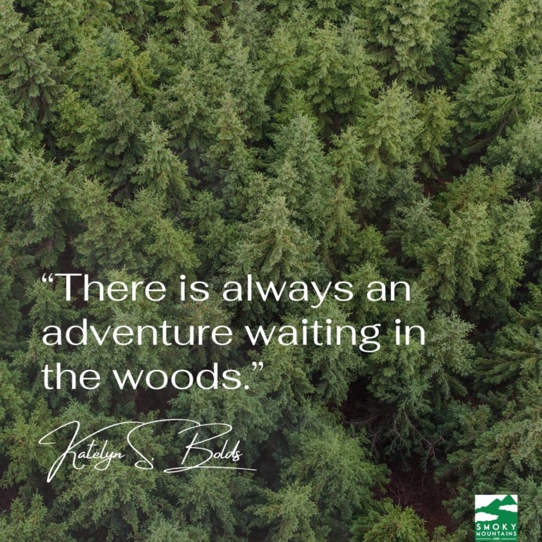 40+ Outdoor Quotes to Inspire Your Great Smoky Mountain Adventure ...