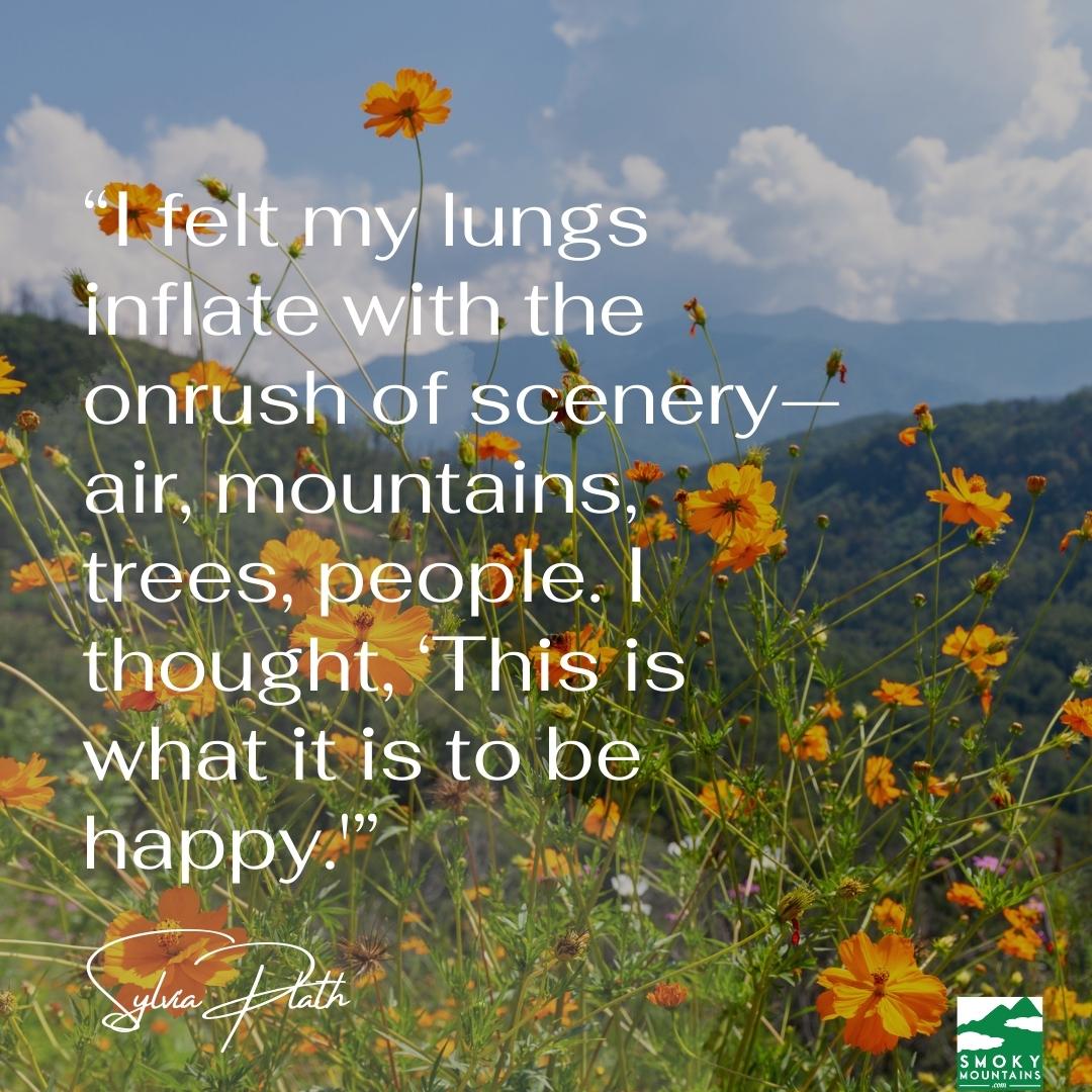 40+ Outdoor Quotes to Inspire Your Great Smoky Mountain Adventure ...
