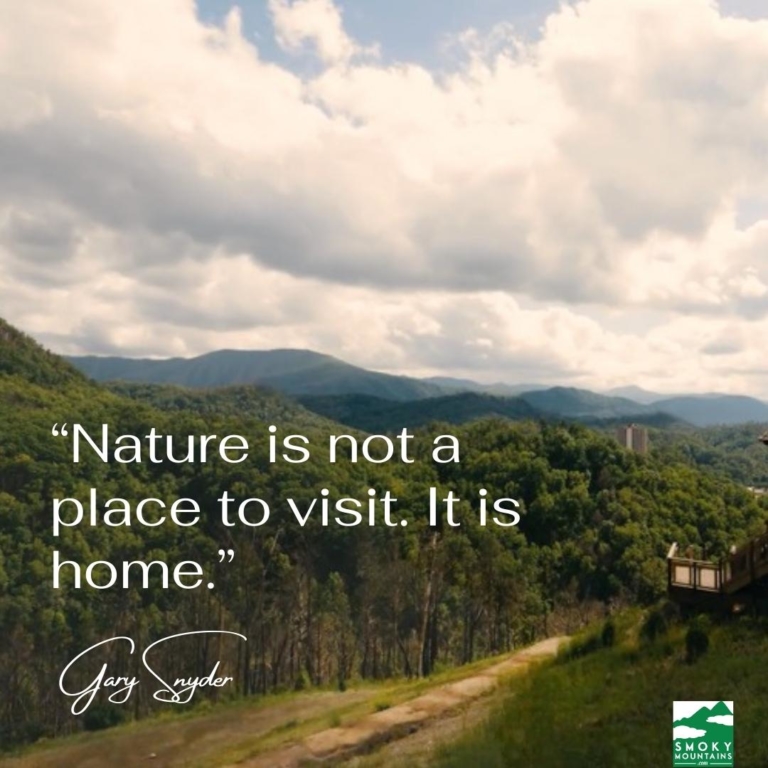 40+ Outdoor Quotes to Inspire Your Great Smoky Mountain Adventure ...
