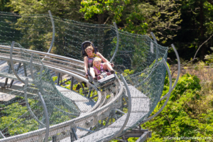 Must-Try Mountain Coasters in Gatlinburg, TN
