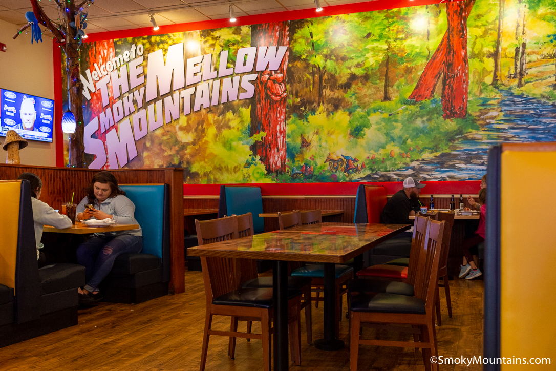 The Island in Pigeon Forge, TN | Attraction Review with Photos