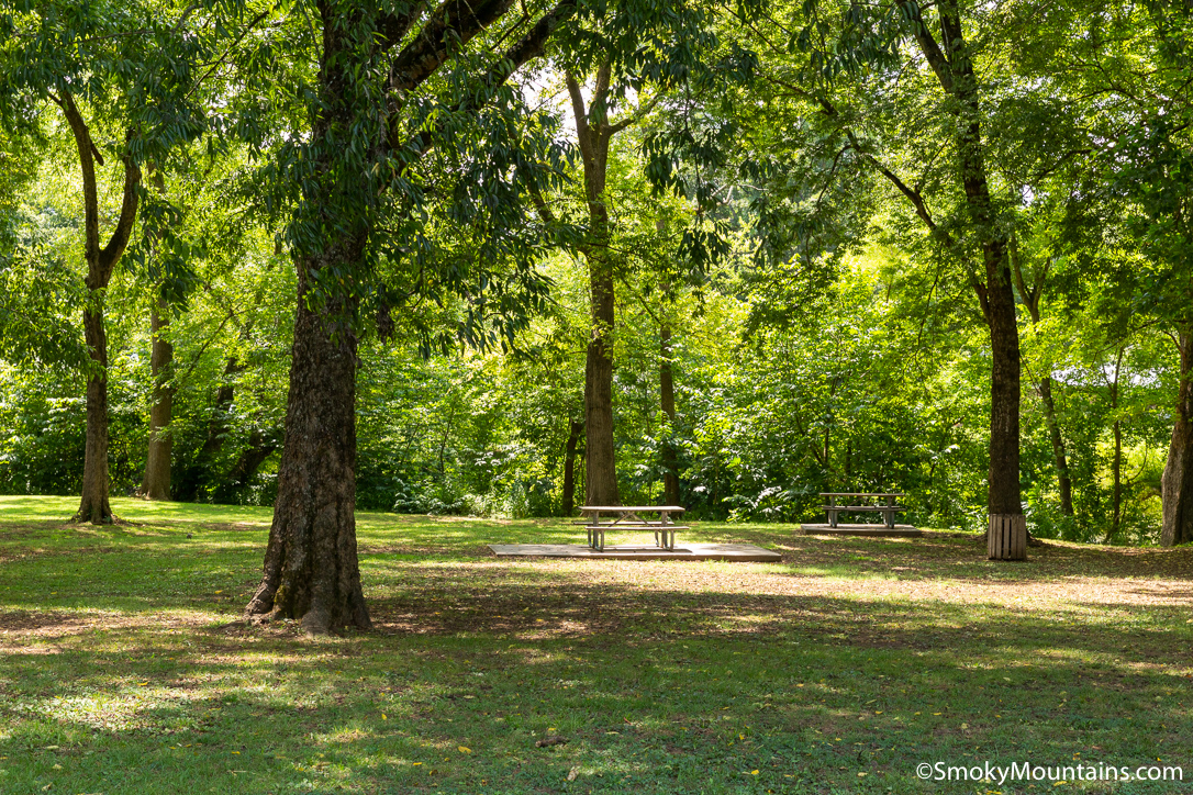 Here Are the Best Pet-Friendly Activities in Sevierville