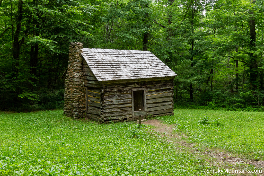 Educational Activities to Enjoy With the Kids in the Smokies