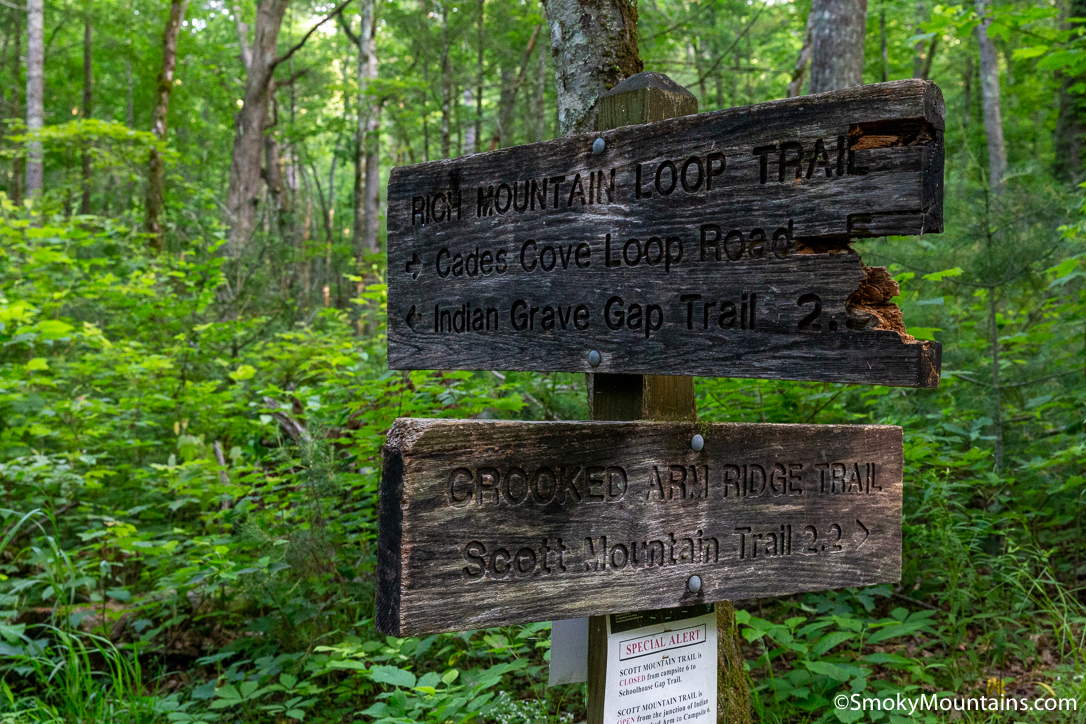 10 Facts We Bet You Didn't Know About the Great Smoky Mountains