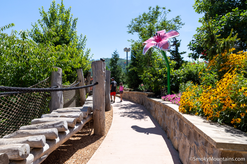 What You Need to Know About the Bear-Varian Fall Festival at Anakeesta