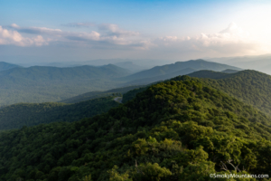 Driving through the Great Smoky Mountains National Park: What to Know