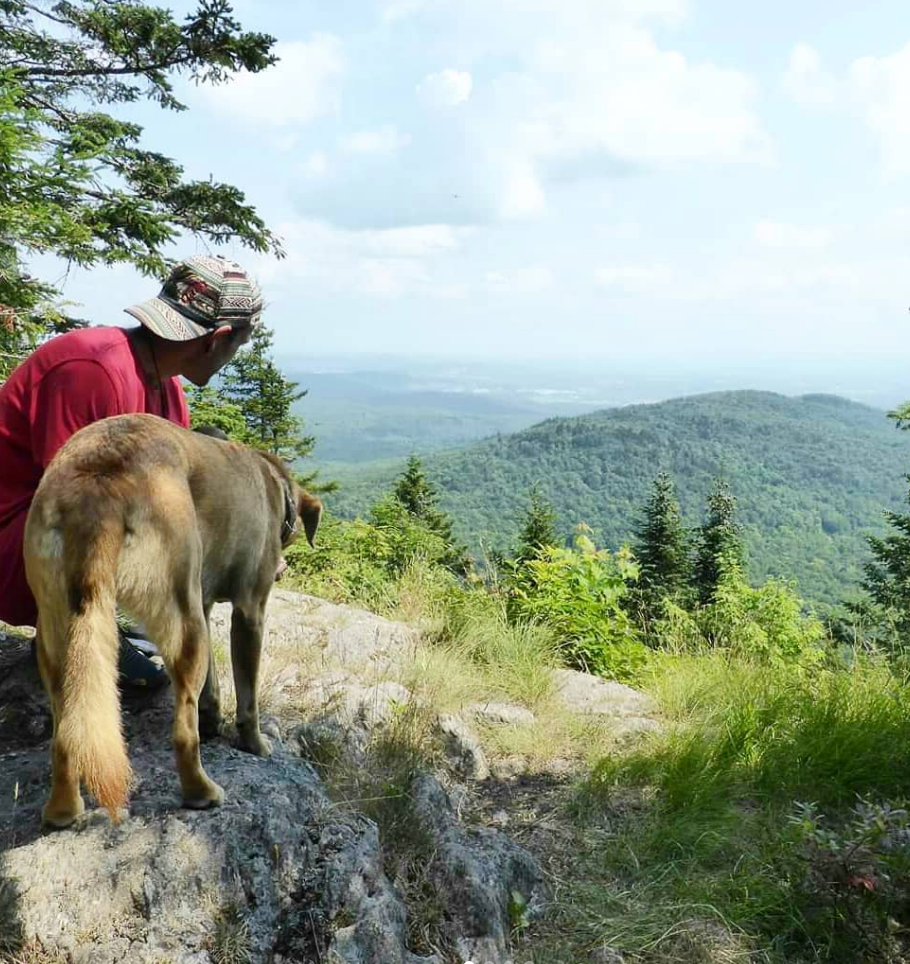 7 Tallest Peaks in the Great Smoky Mountains National Park