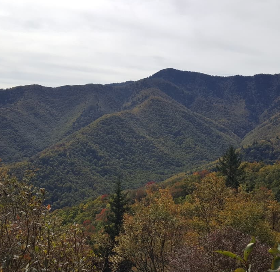 7 Tallest Peaks in the Great Smoky Mountains National Park