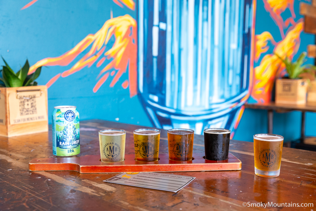 Top 10 Things to Do in Boone, NC on a Rainy Day