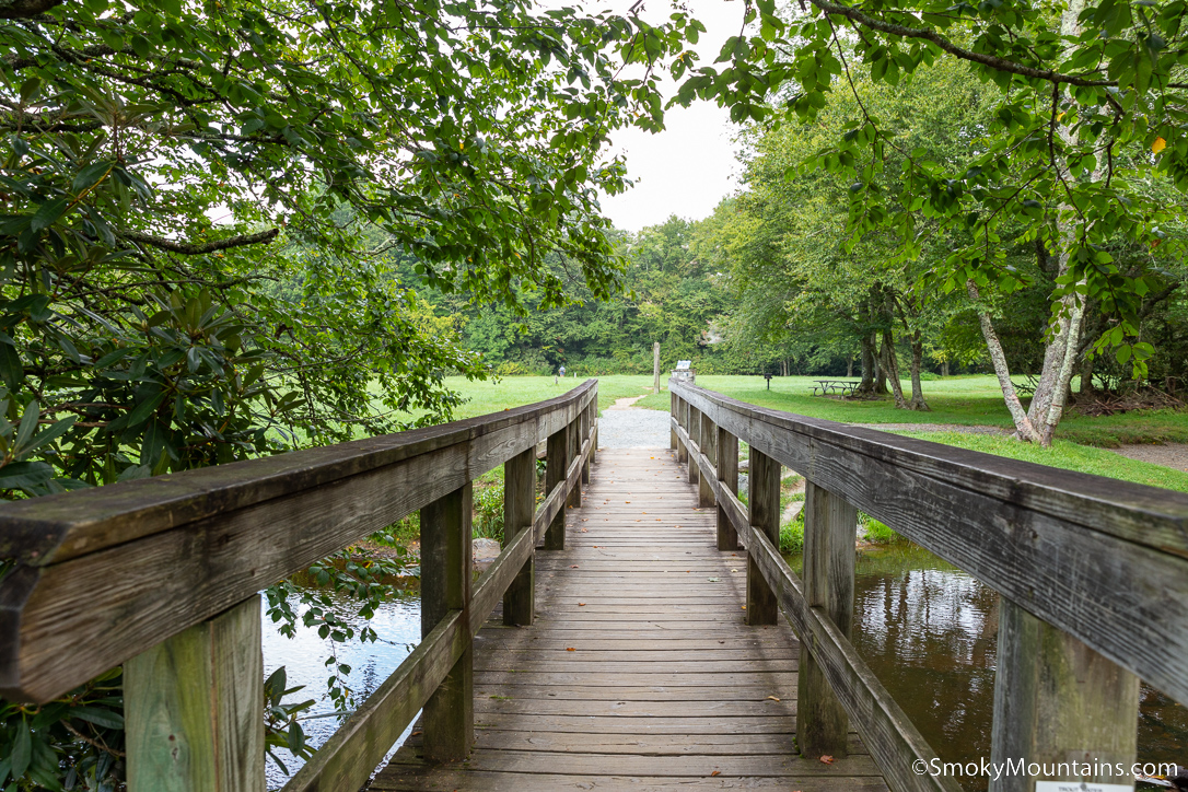 Top 5 Hikes in and Around Boone, North Carolina