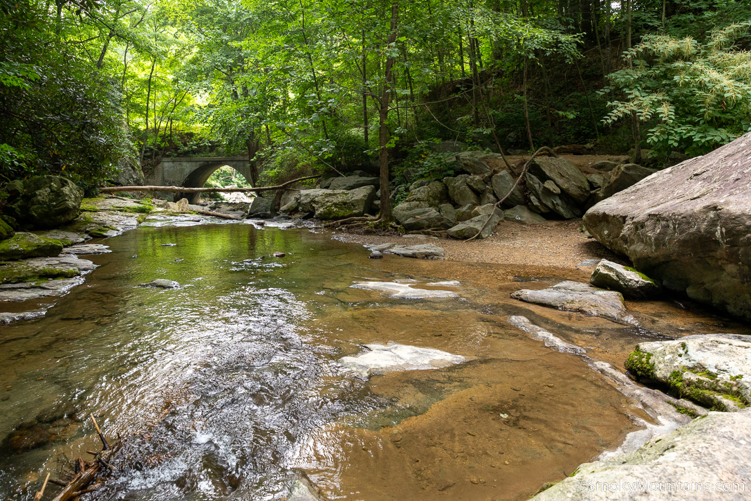 Ultimate Guide to Elevation And Altitude Sickness in the Smoky Mountains