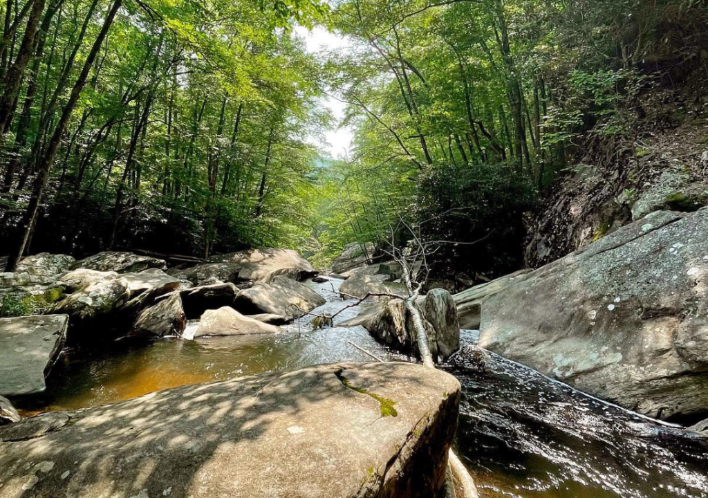 Top 5 Hikes in and Around Boone, North Carolina