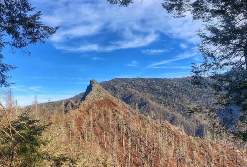 High-Country Trails in the Smoky Mountains National Park