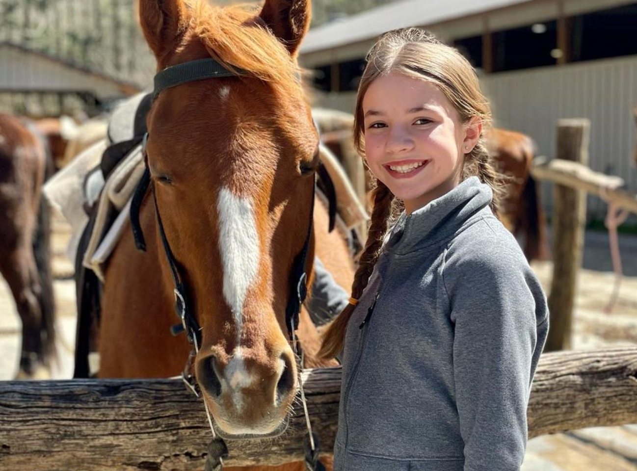 6 Outstanding Smoky Mountain Horse Riding Opportunities