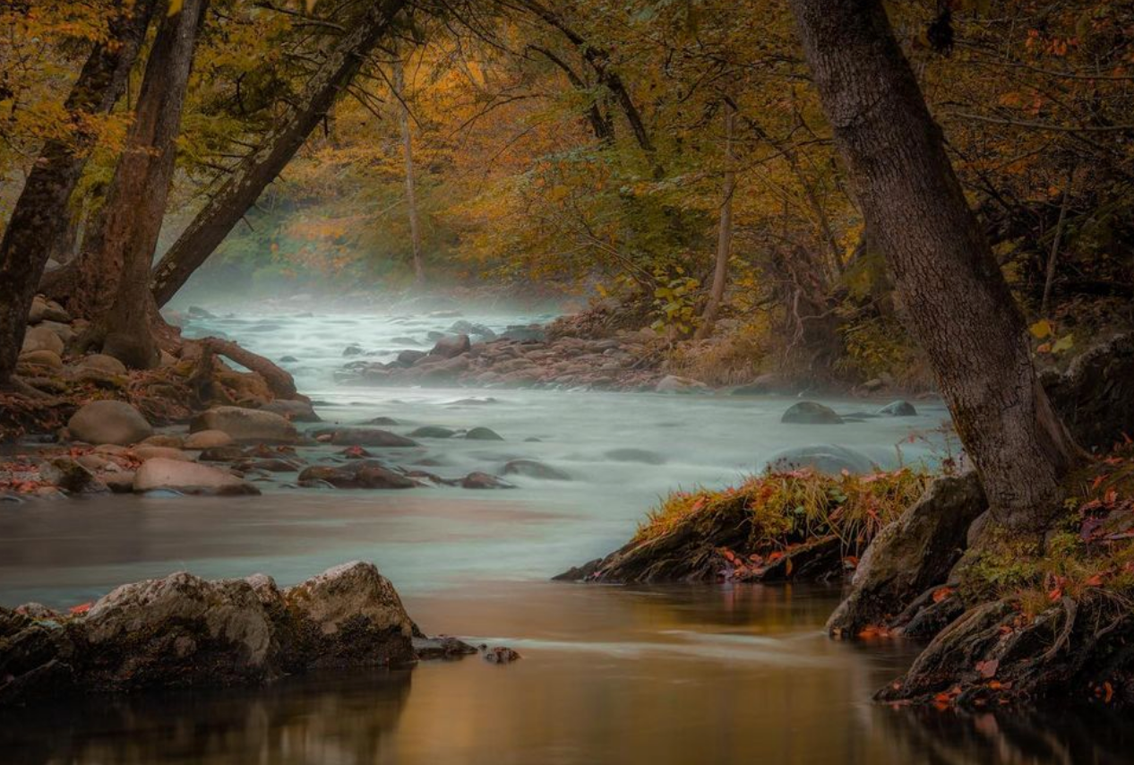 Swimming in the Smokies: Smoky Mountain Swimming Holes