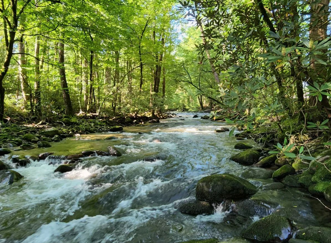 Hidden Gems in Gatlinburg, TN: Unique Things to Do & See